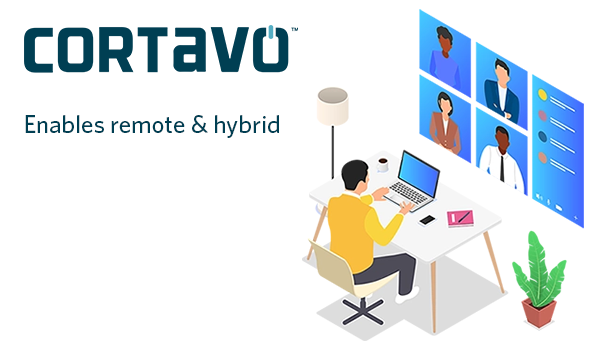 Remote & Hybrid Workplaces